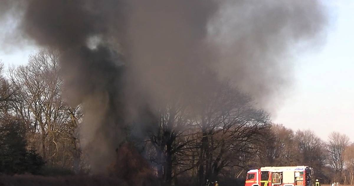 Feuerwehr findet eine Brandleiche: Wohnwagen und Gartenhaus geraten in ...