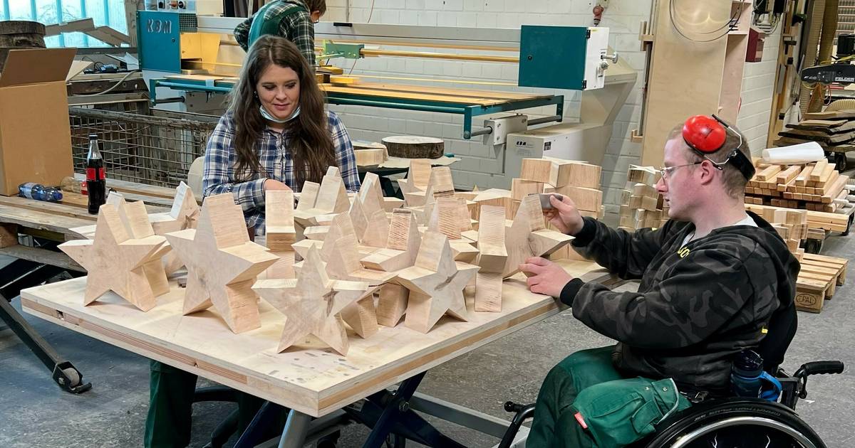 Meerbuscher Rotarier verkaufen wieder Weihnachtssterne