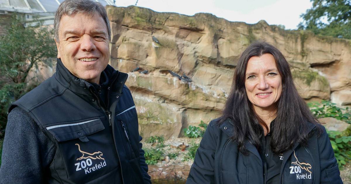 Der Krefelder Zoo hat eine Doppelspitze bis Ende 2023
