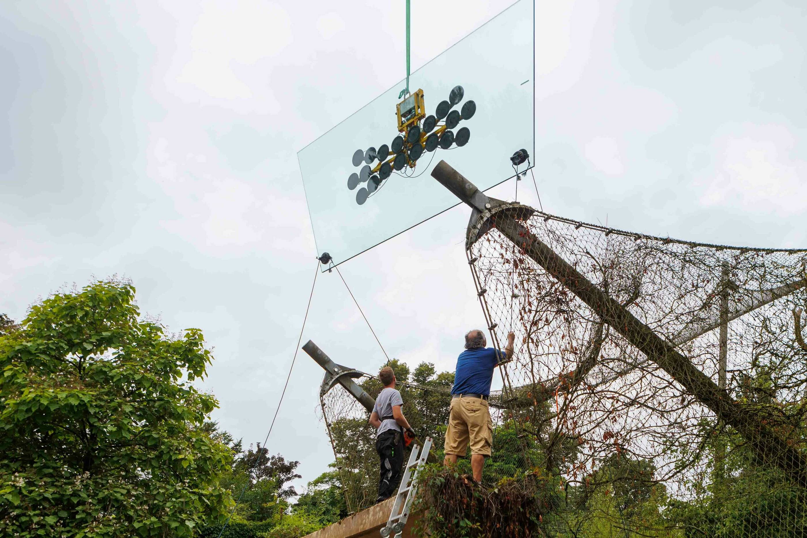 Zoo: Neue Panorama-Scheibe für das Jaguar-Gehege