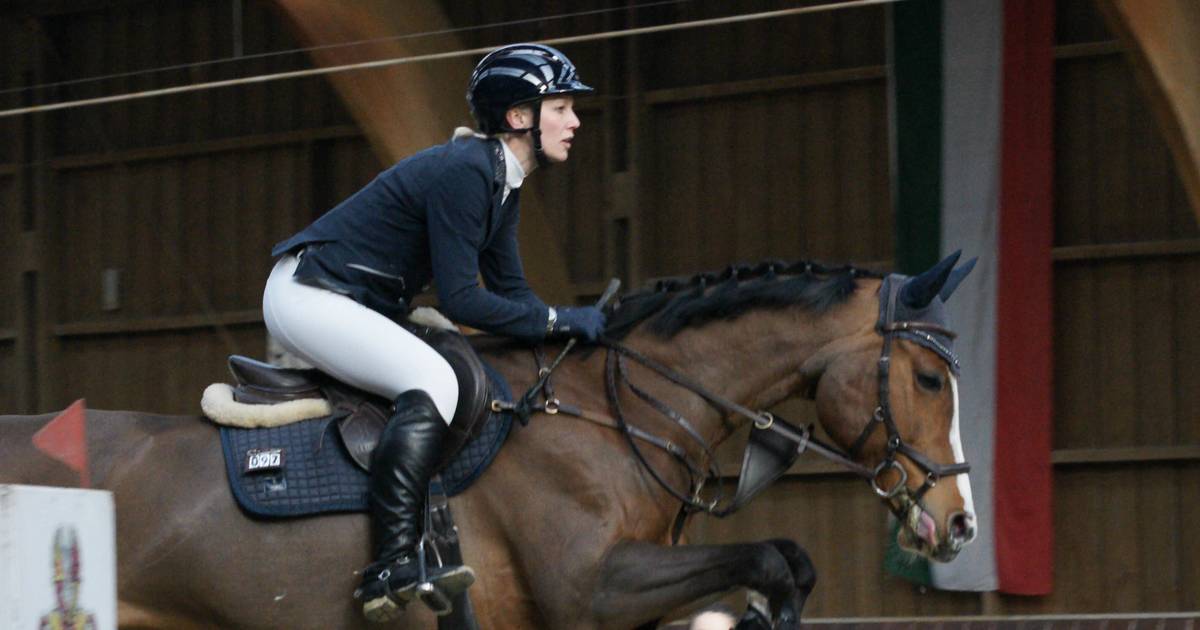 Bildergalerie: Turnier der jungen Pferde in Krefeld