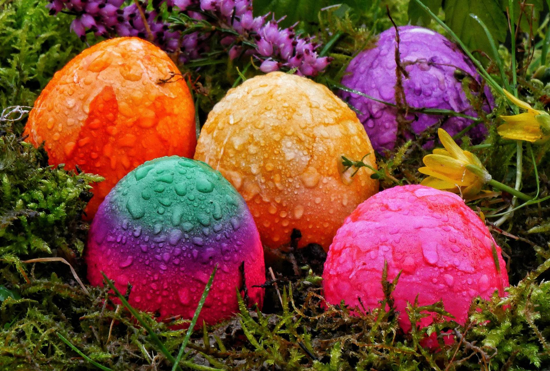 Das Extra-Tipp-Team wünscht allen Lesern FROHE OSTERN