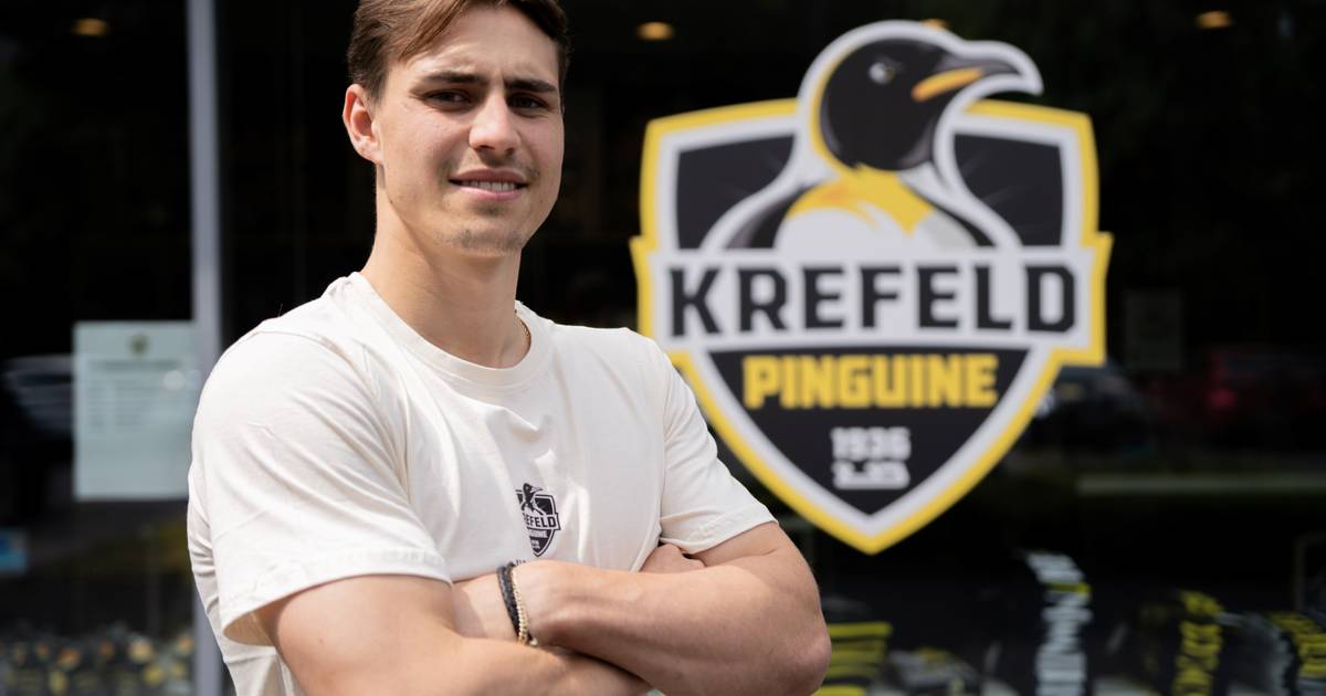 Krefeld Pinguine und Daniel Bruch verlängern Vertrag vorzeitig