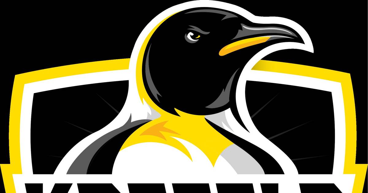 Siegesserie der Pinguine endet in Bad Nauheim